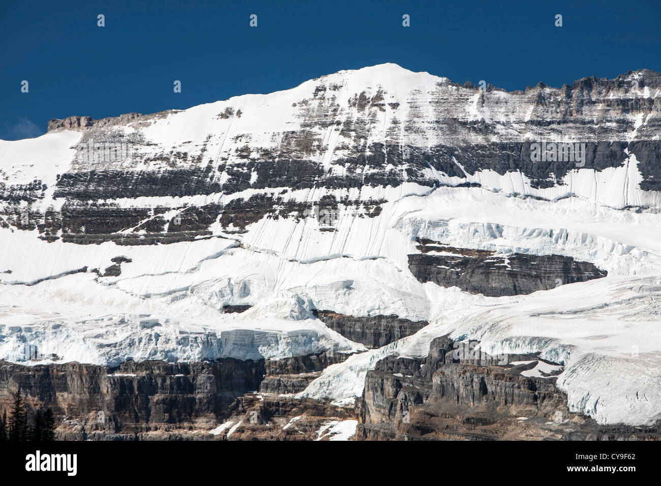 The Victoria Glacier above Lake Louise in the Canadian Rockies. Like ...