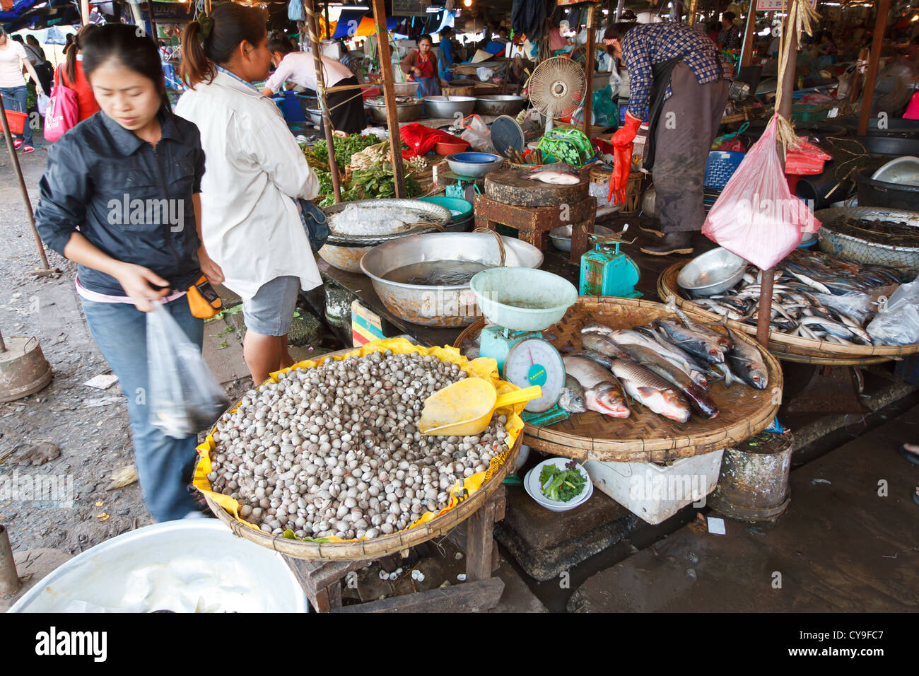 Typical Scenery on a Fish Market in Vientiane, Laos Stock Photo - Alamy