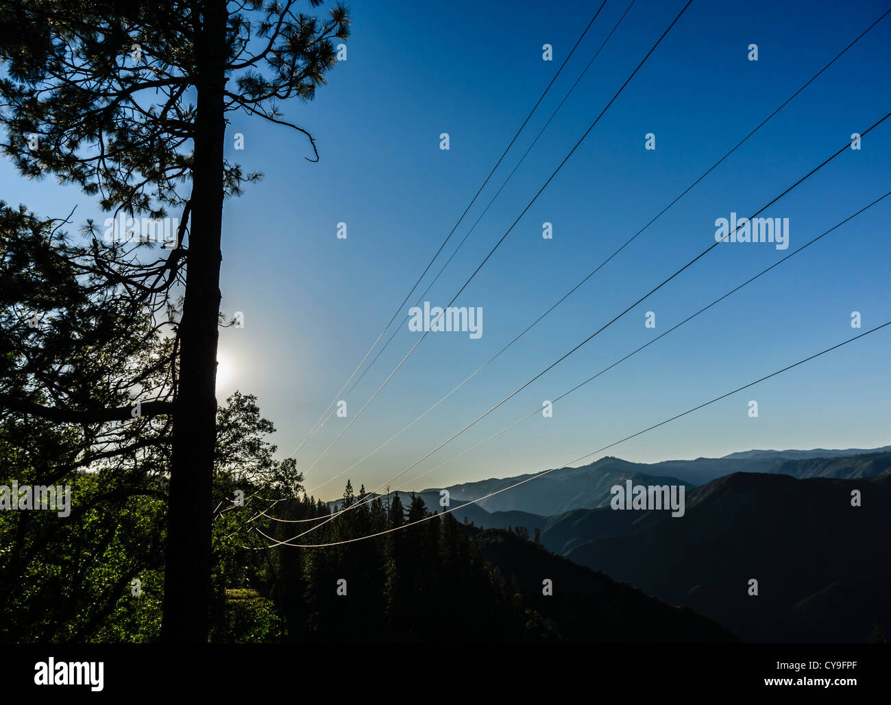 Tree power line hi-res stock photography and images - Alamy