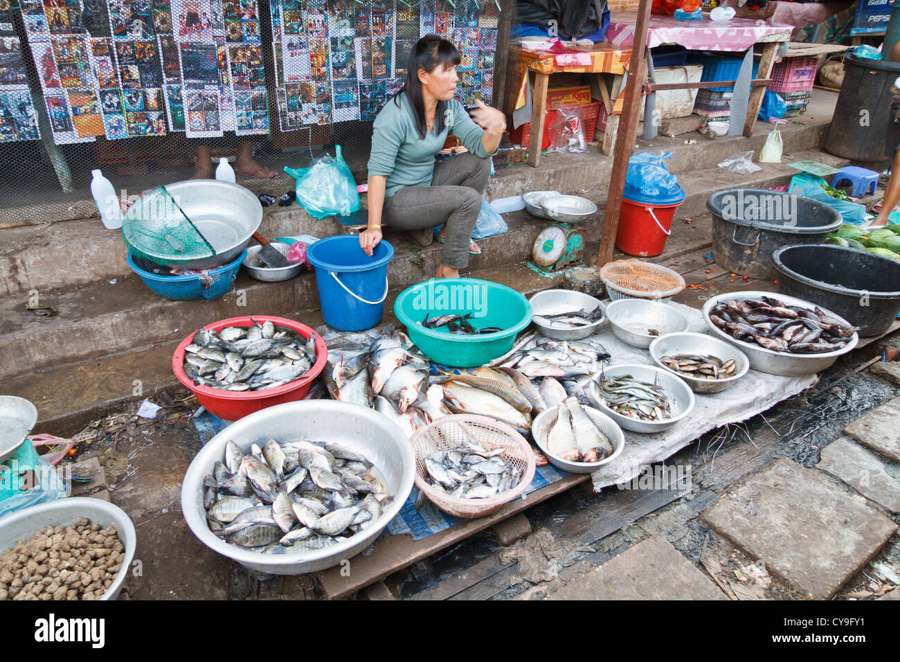 Fishes of laos hi-res stock photography and images - Alamy