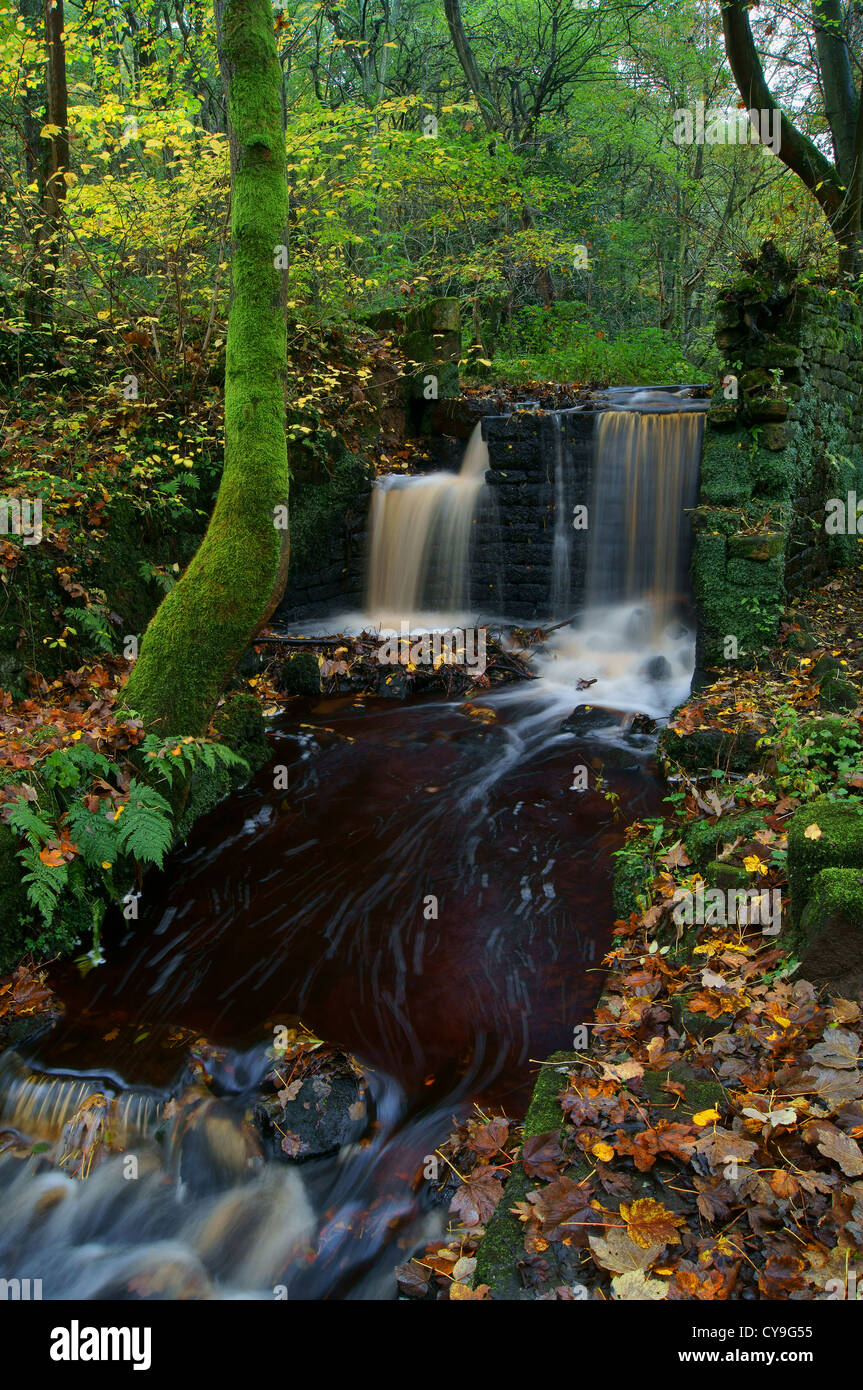 UK,South Yorkshire,Sheffield,River Rivelin,Upper Cut Wheel Near Rivelin ...