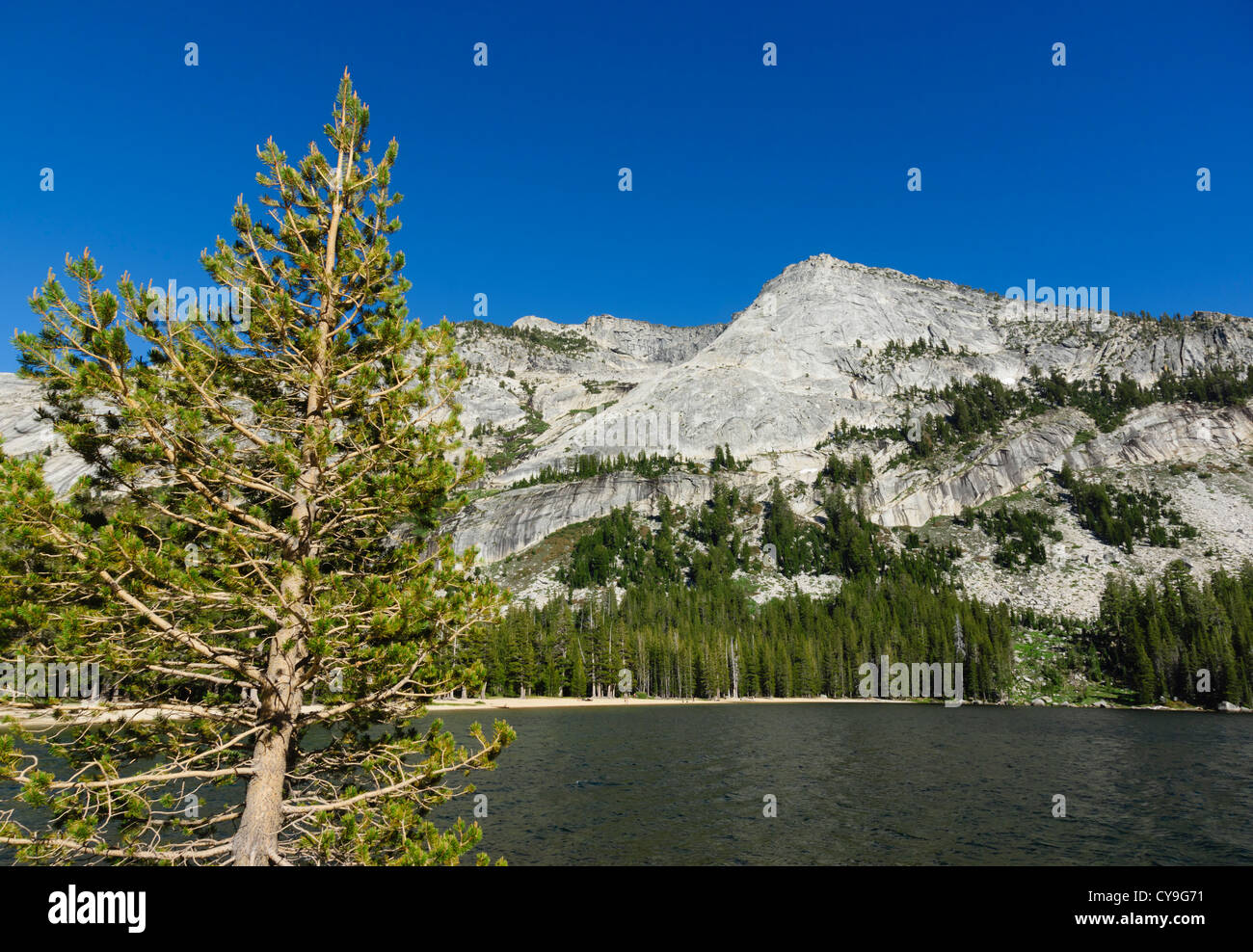 California route 120 to yosemite hi-res stock photography and images ...