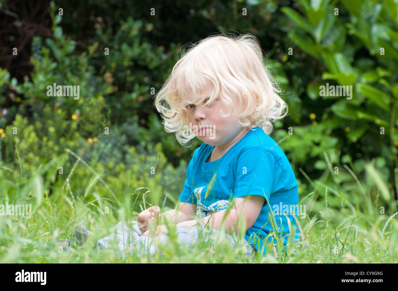 A shy little boy Stock Photo - Alamy