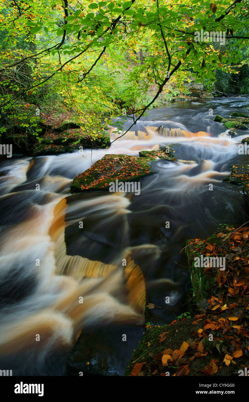 UK,South Yorkshire,Sheffield,River Rivelin Stock Photo - Alamy