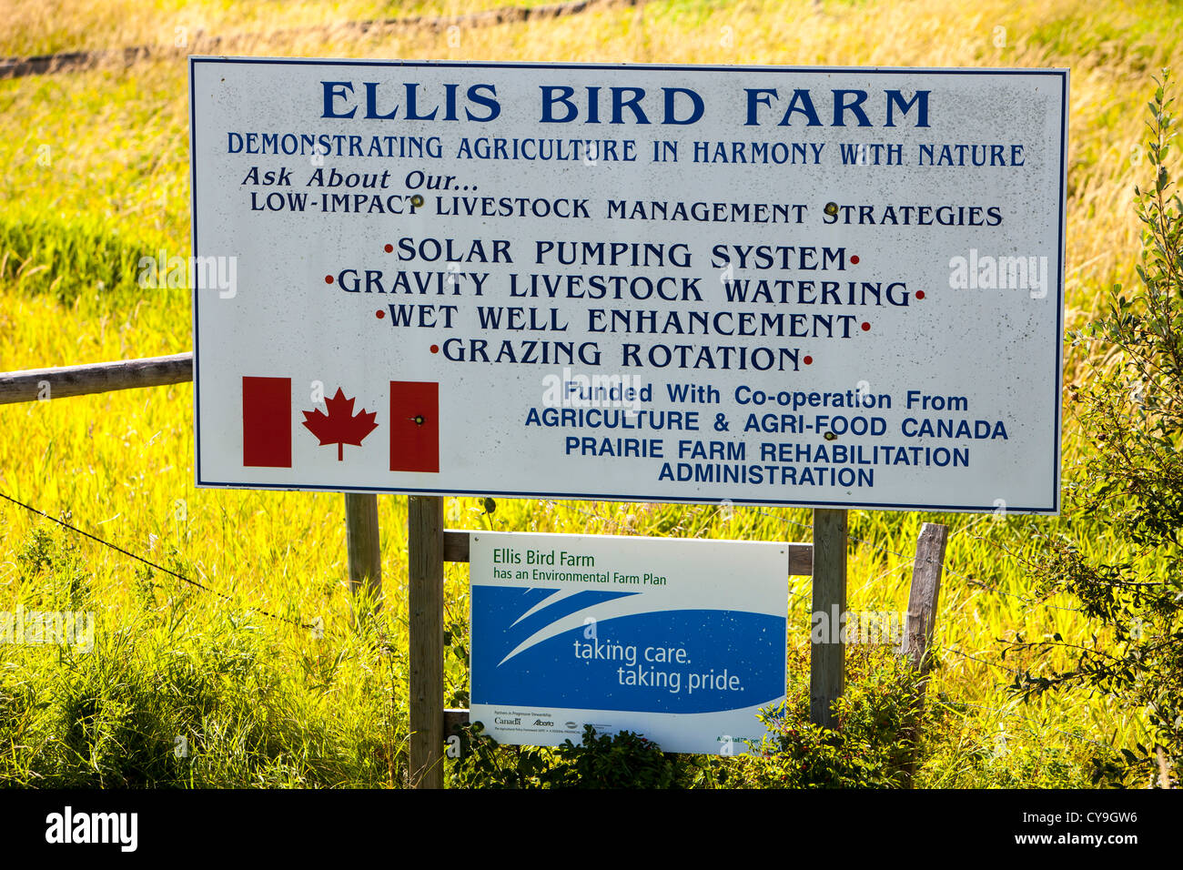 Ellis Bird Farm in Alberta, Canada, famous for its density of nesting ...