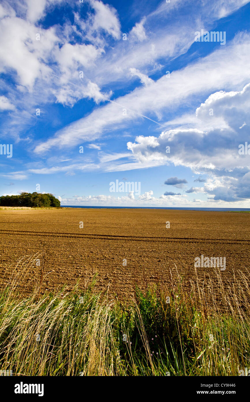 Landscape land norfolk hi-res stock photography and images - Alamy