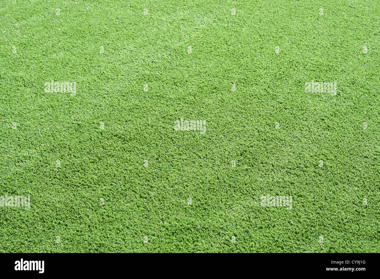 Green grass lawn background Stock Photo - Alamy