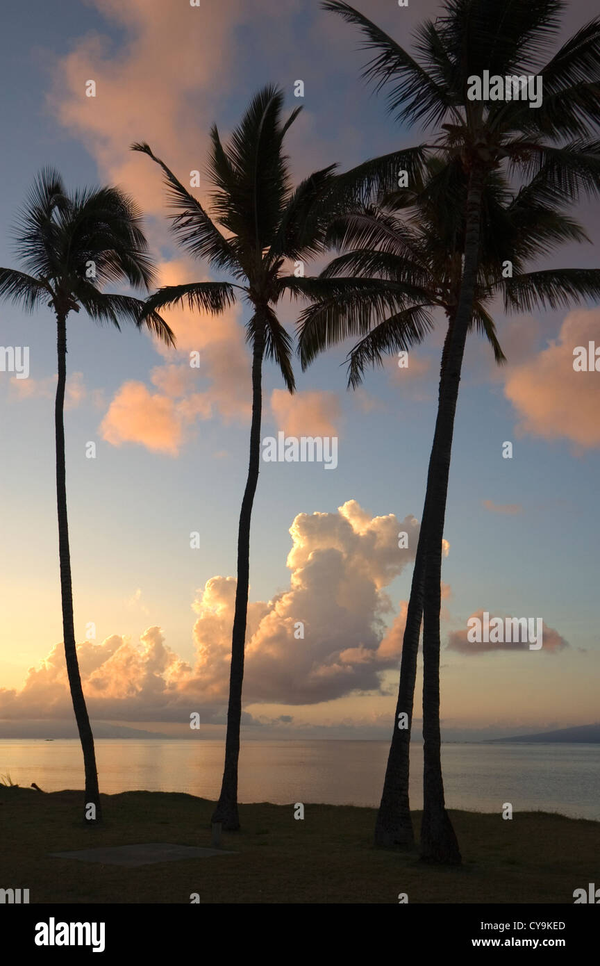 East molokai hi-res stock photography and images - Alamy