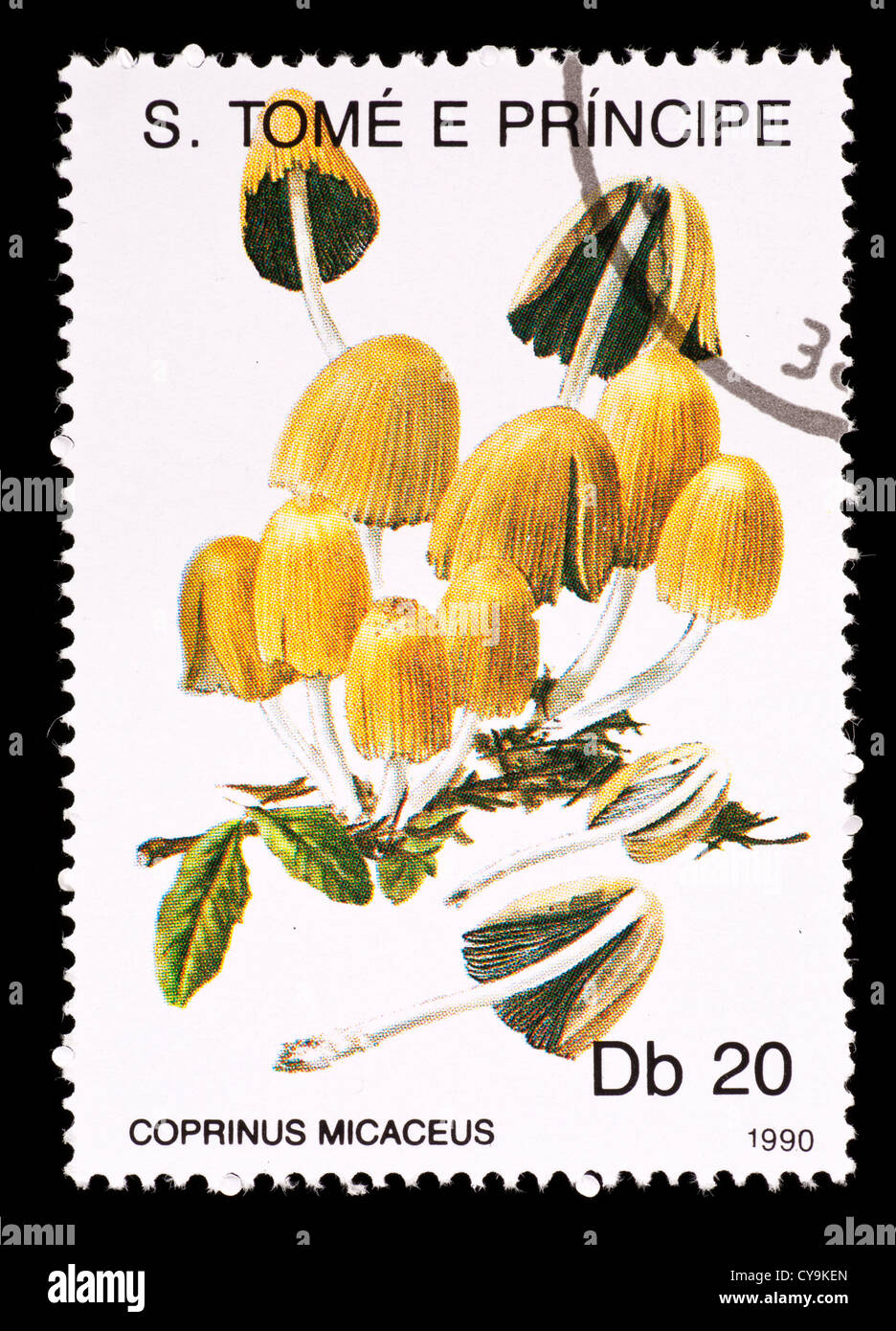 Postage stamp from Saint Thomas and Prince depicting mushrooms ...