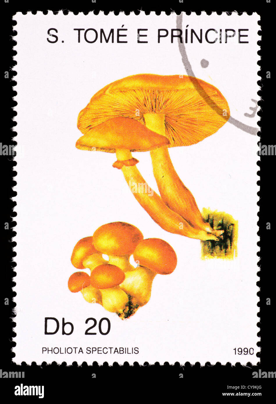 Postage stamp from Saint Thomas and Prince depicting mushrooms ...