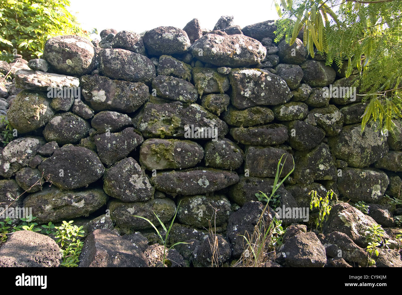 Rock wall hawaii hi-res stock photography and images - Alamy