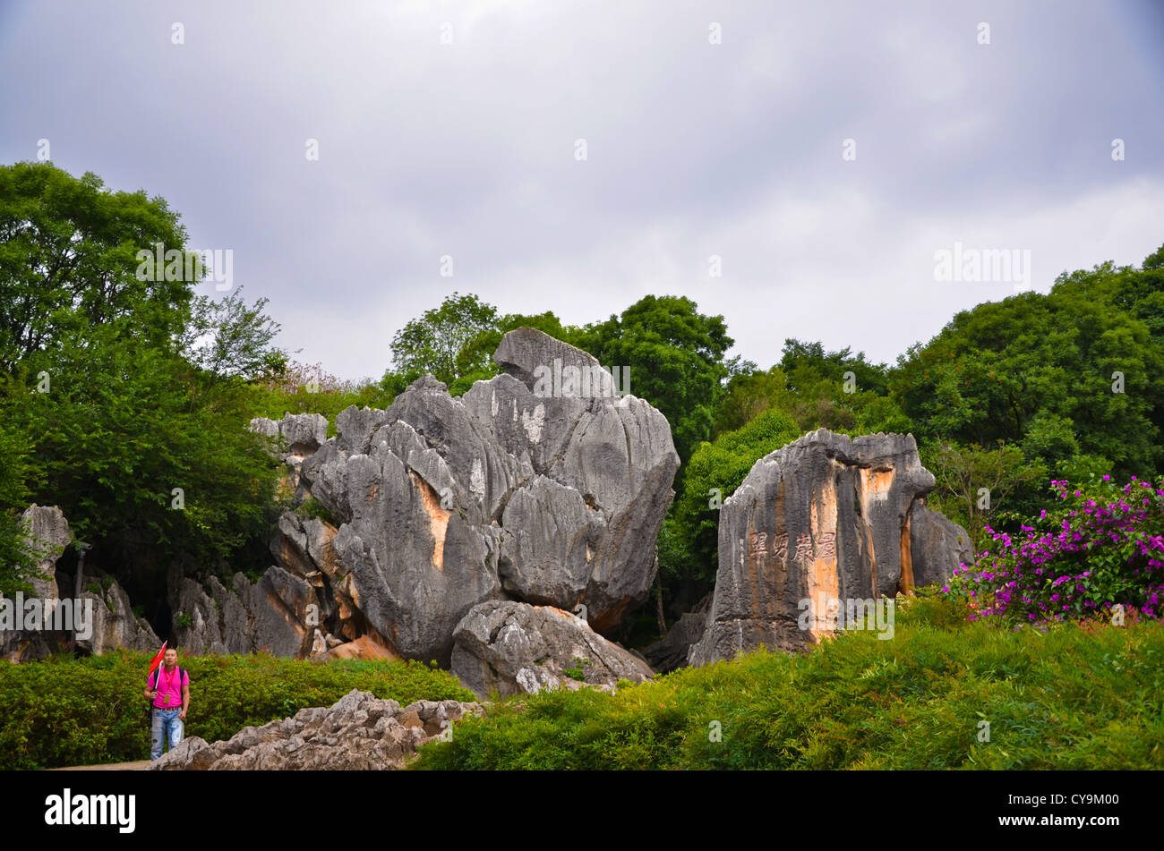 Stone forest yunnan china karst hi-res stock photography and images - Alamy