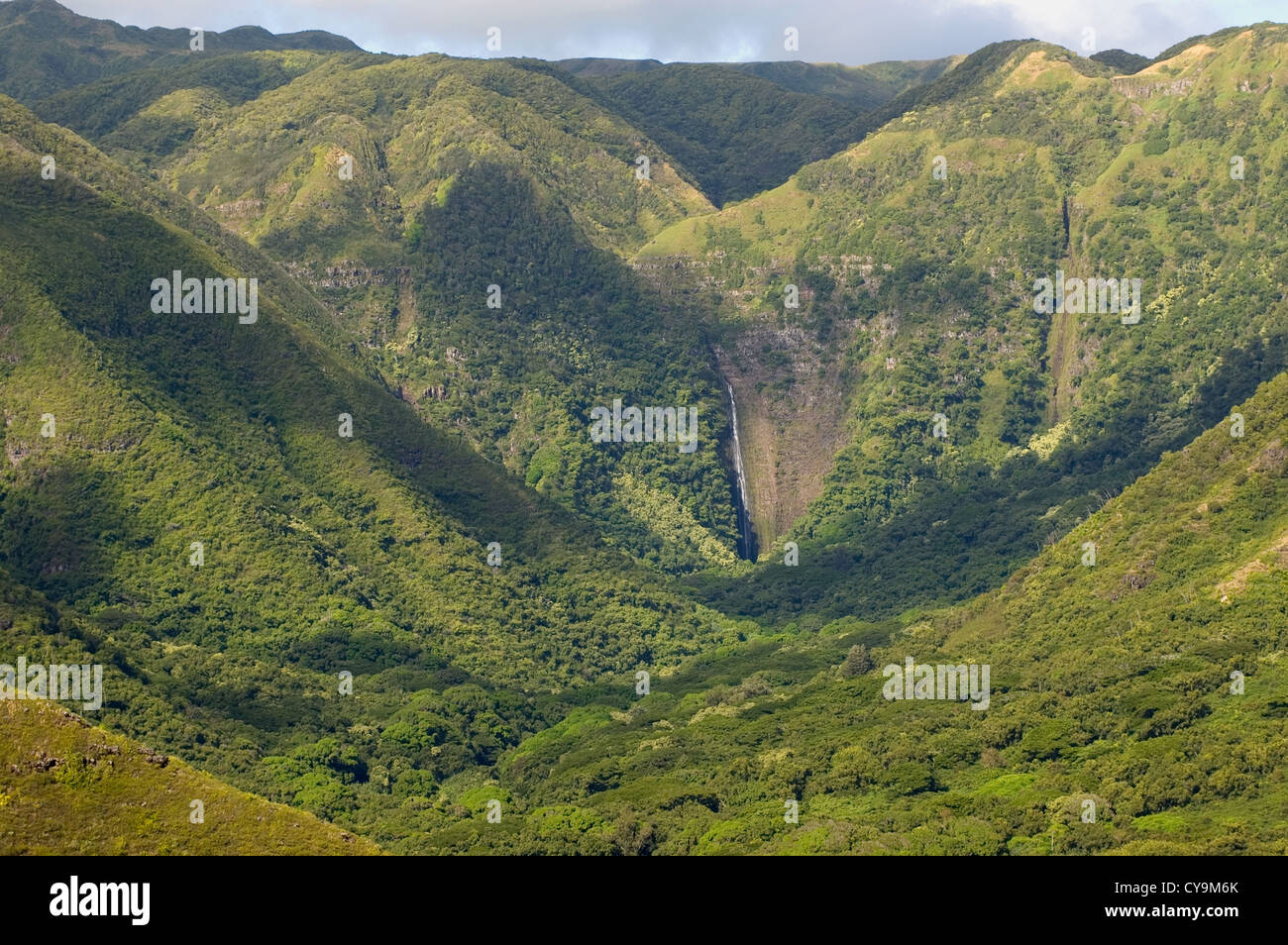 Halawa hi-res stock photography and images - Alamy