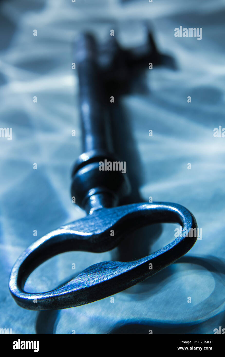 Skeleton antique hi-res stock photography and images - Alamy