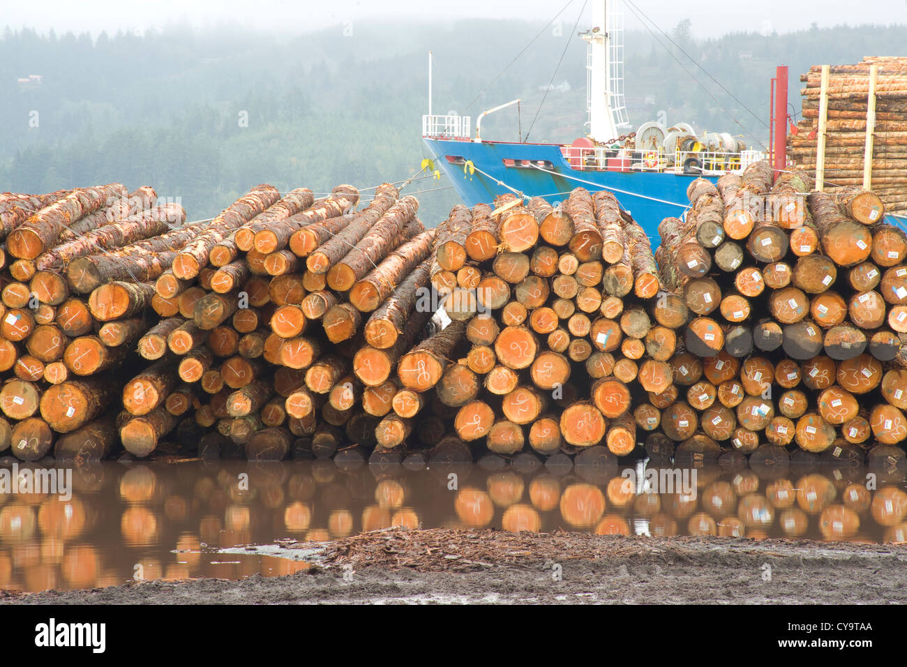 Logs laying waiting to be loaded onto s transport ship Stock Photo - Alamy