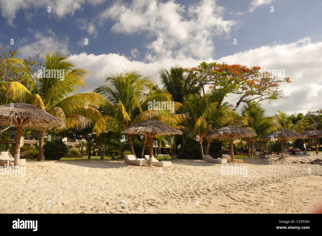 Lounge chairs on a beach in Samoa Stock Photo - Alamy
