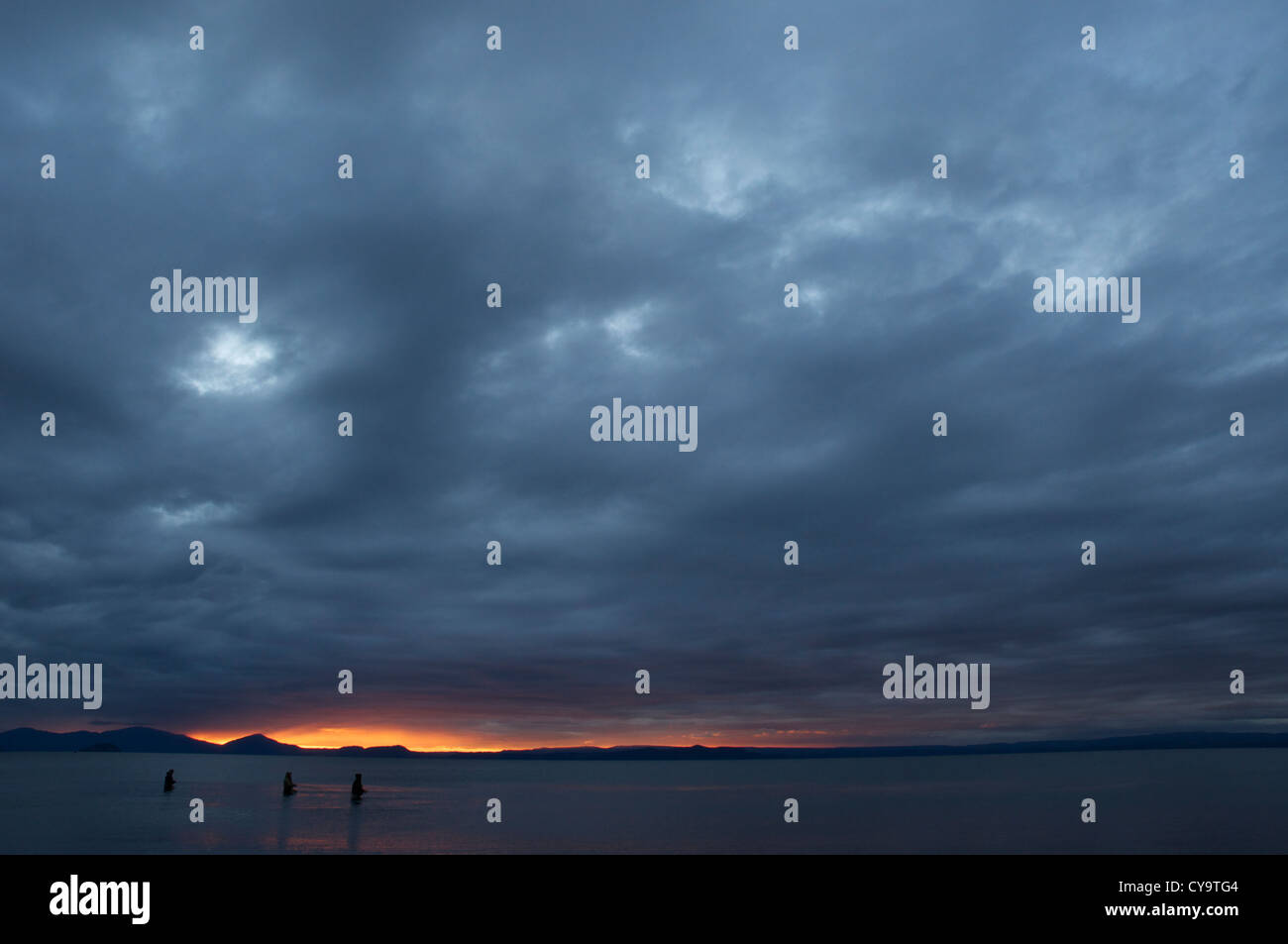 Lake taupo new zealand fishing hi-res stock photography and images - Alamy
