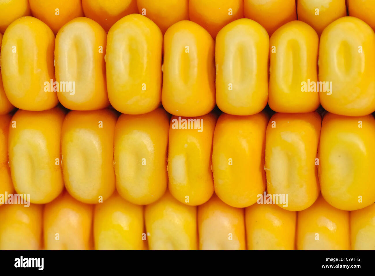 Yellow corn kernels hi-res stock photography and images - Alamy