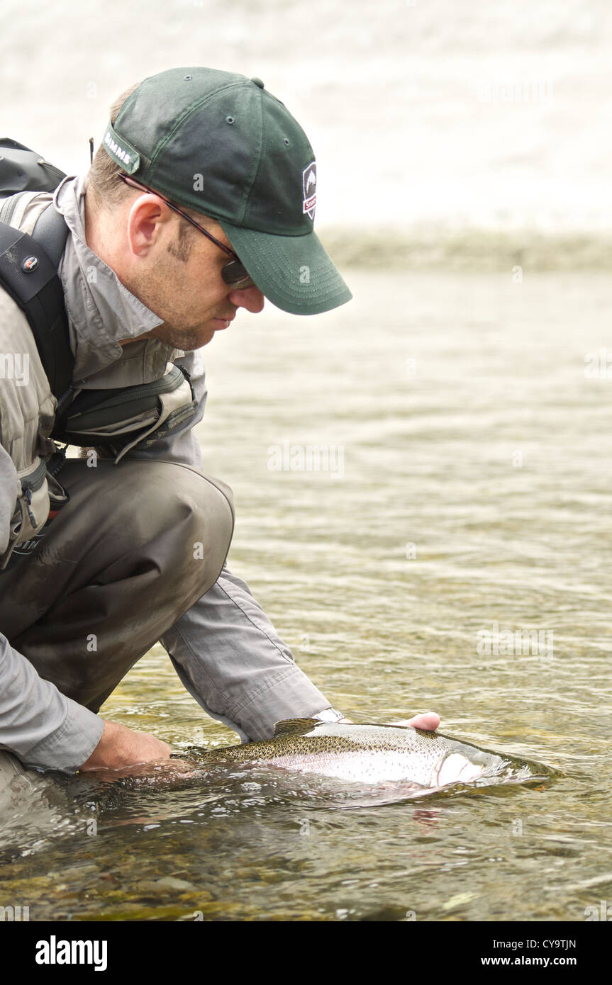 An angler releases a rainbow trout back into the wild after catching it ...