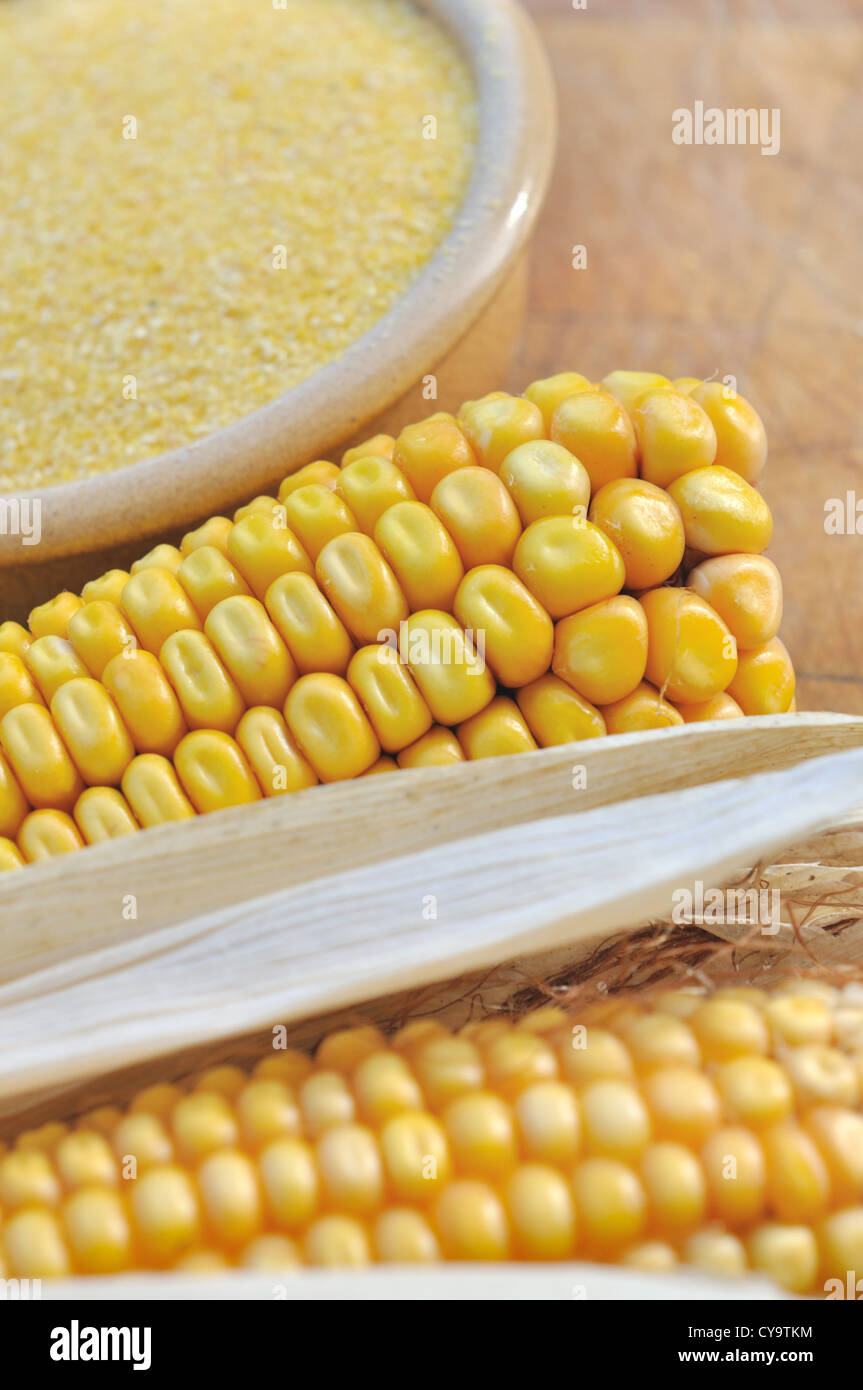 bowl of corn flour on wooden board with ears of corn Stock Photo - Alamy