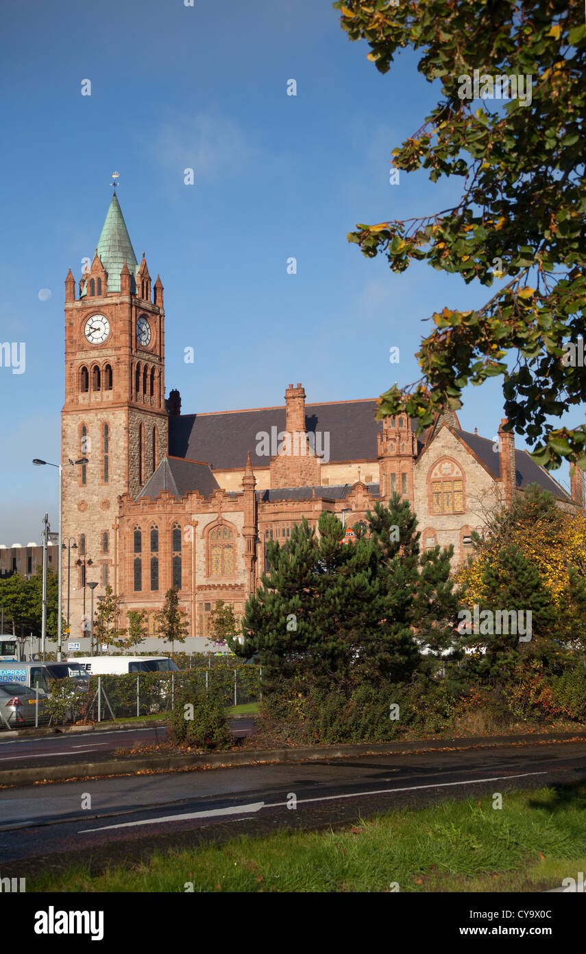 gmlh0310 4811 The Derry Londonderry Guildhall from River Foyle ...