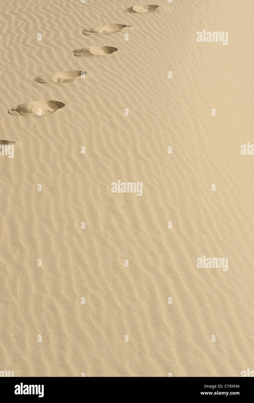Footsteps in the sand Stock Photo - Alamy