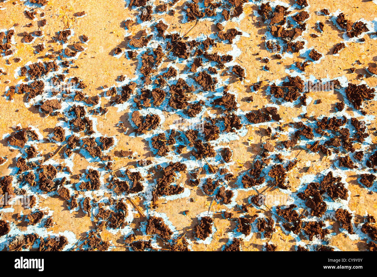 Run down swimming pool hi-res stock photography and images - Alamy