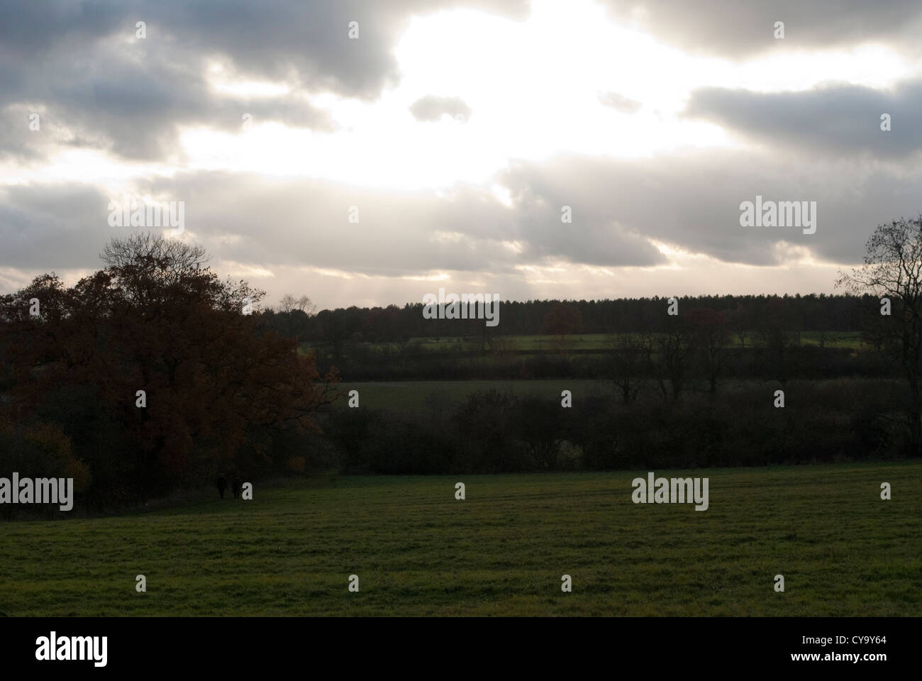 Bright sky with sun behind clouds near sunset with dark green fields ...