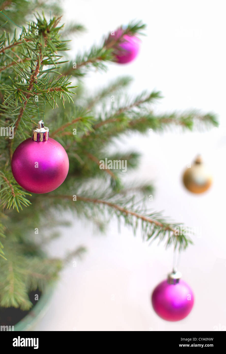 Christmas baubles on a tree Stock Photo - Alamy