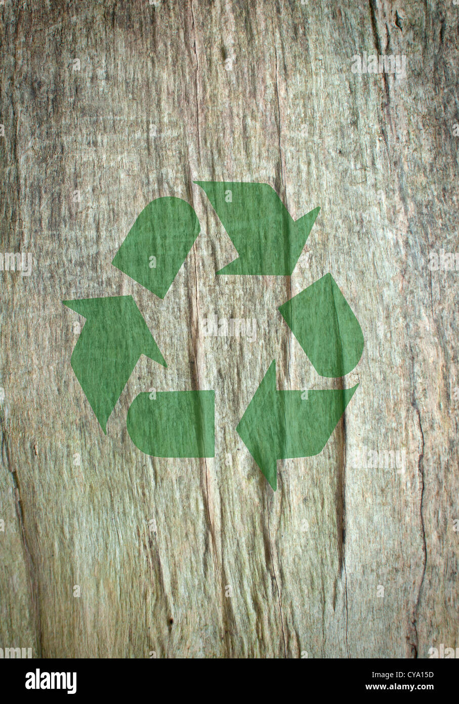 Recycle symbol printed on a tree Stock Photo - Alamy