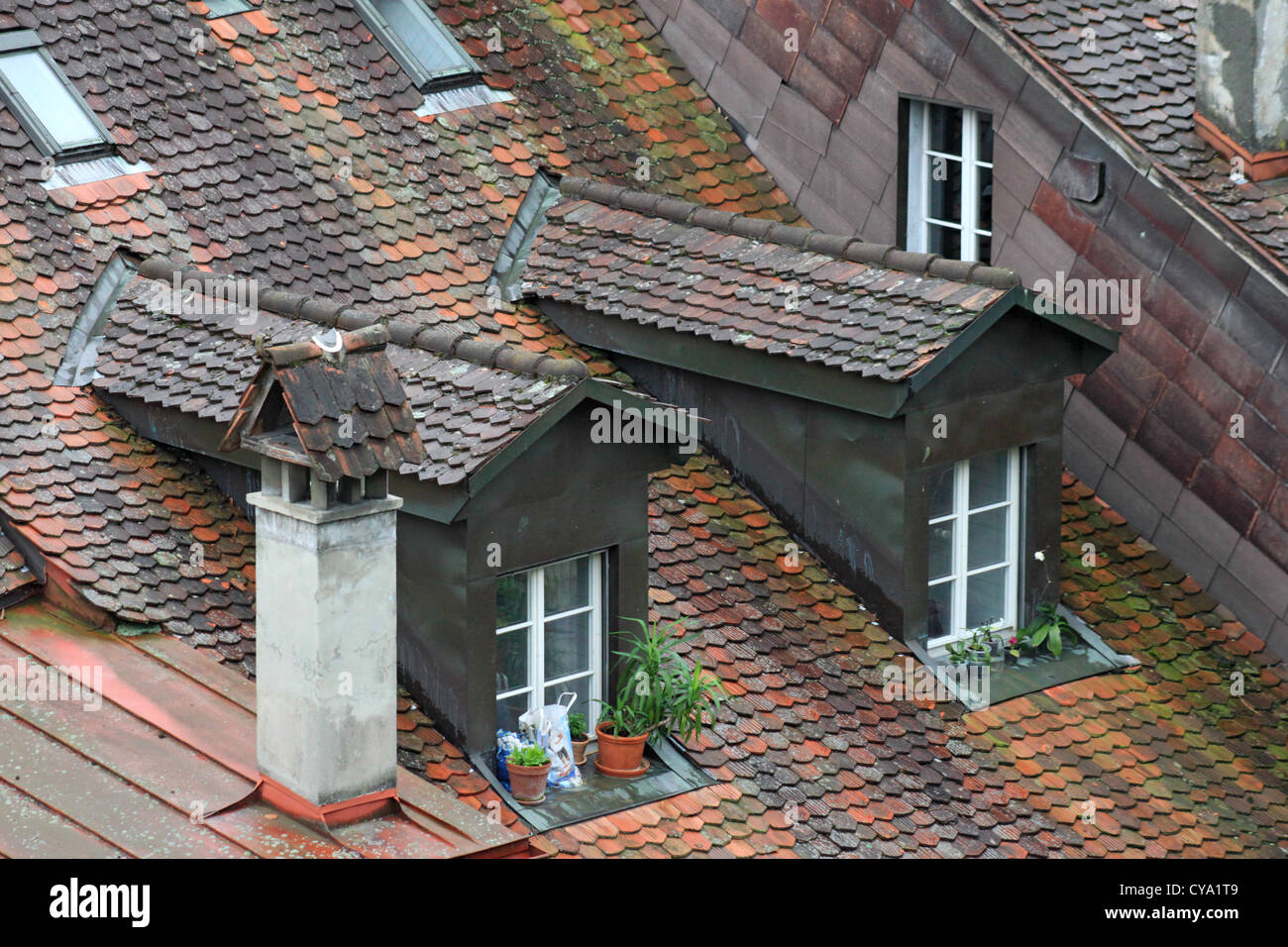 Tile roof of the house in a medieval city Stock Photo - Alamy