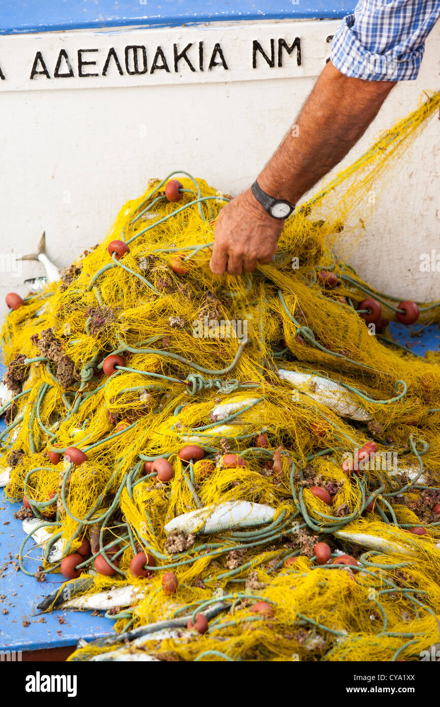 Sustainably caught fish in a net onboard a small traditional Greek ...