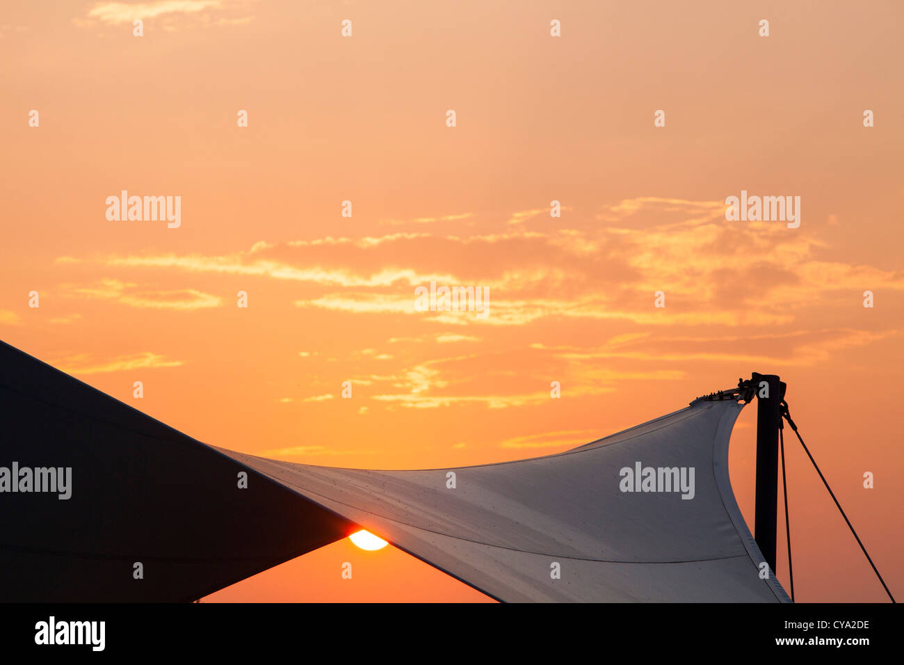 Canopy glow hi-res stock photography and images - Alamy