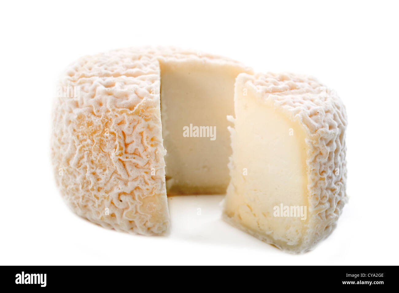 goat cheese crottin de chavignol in front of white background Stock ...
