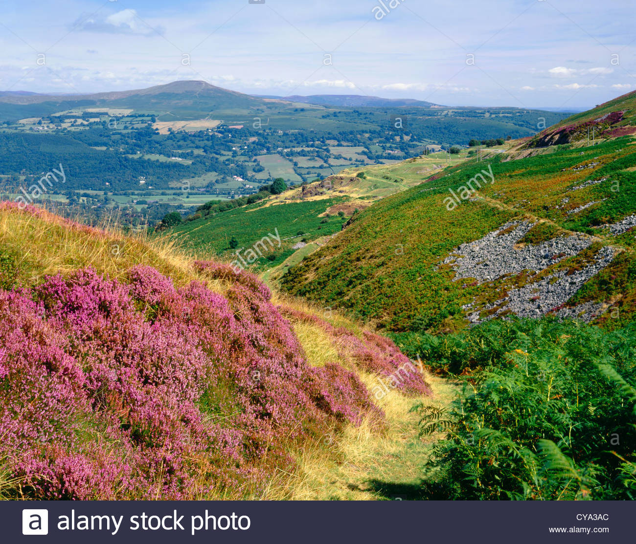 Blorenge Mountains Stock Photos & Blorenge Mountains Stock Images - Alamy