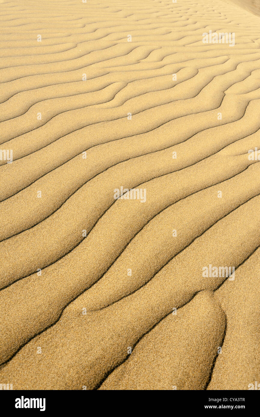 The sand dunes at Maspalomas Gran Canaria Canary Islands Spain, like a ...