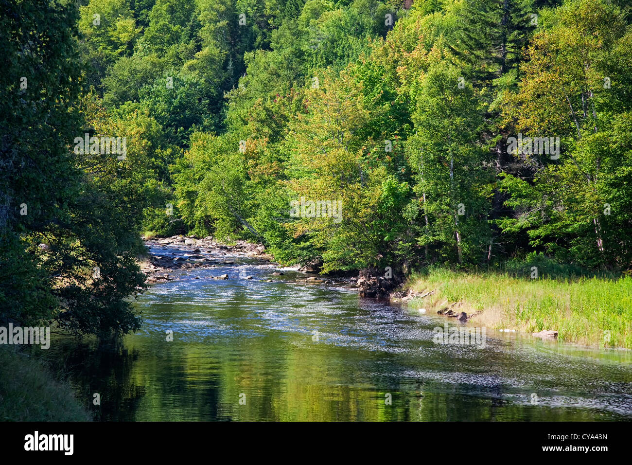 River Herbert in rural Nova Scotia, Canada Stock Photo - Alamy