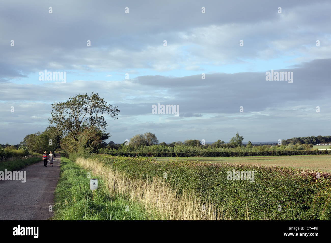 Two people walking down a country lane hi-res stock photography and ...