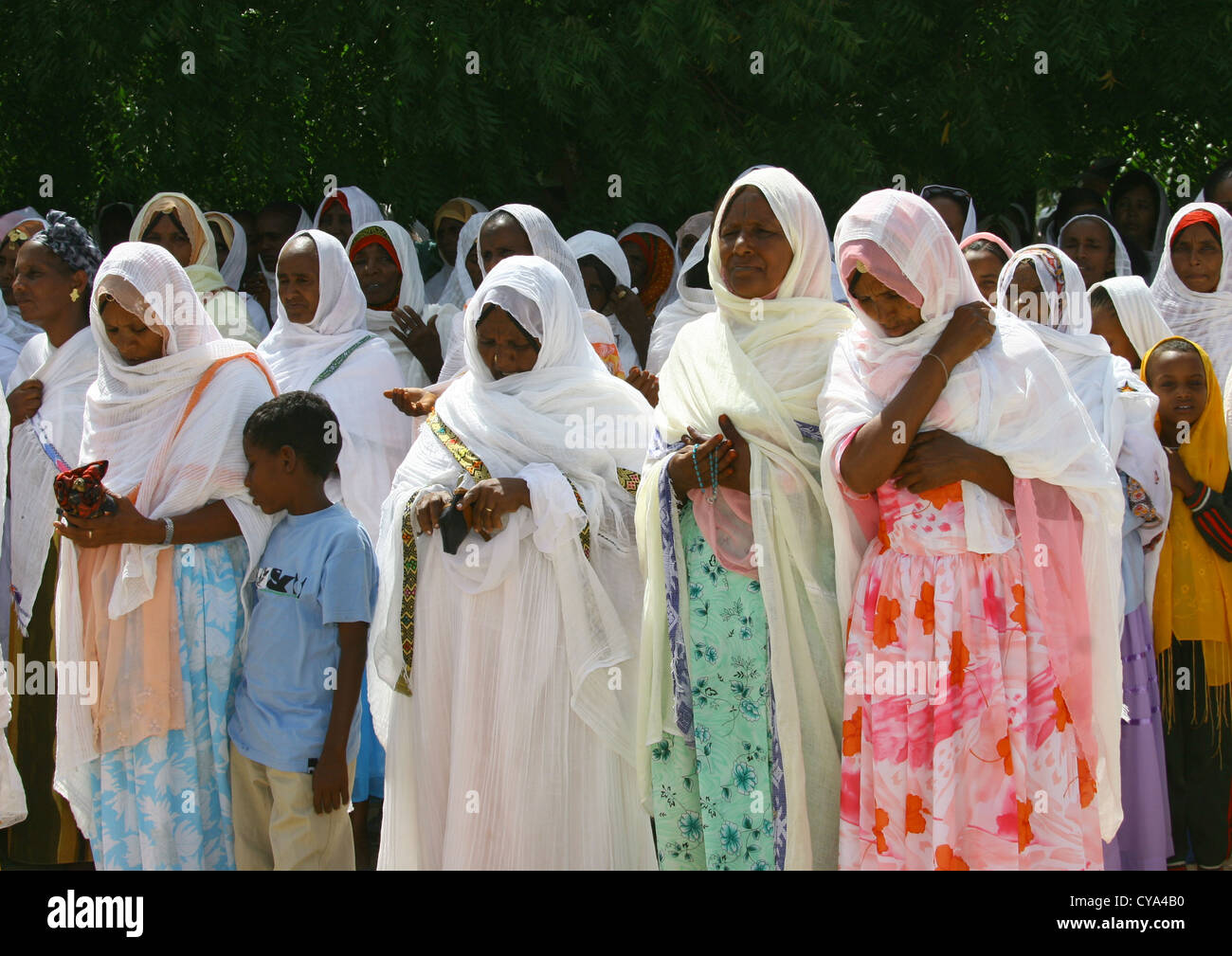Pilgrims At St. Mariam Dearit Baobab, Keren, Eritrea Stock Photo - Alamy
