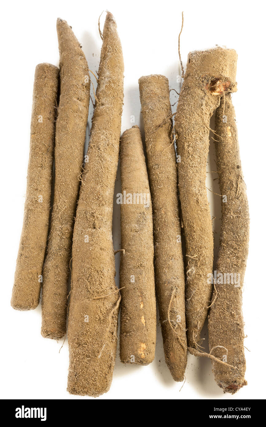 White salsify hi-res stock photography and images - Alamy