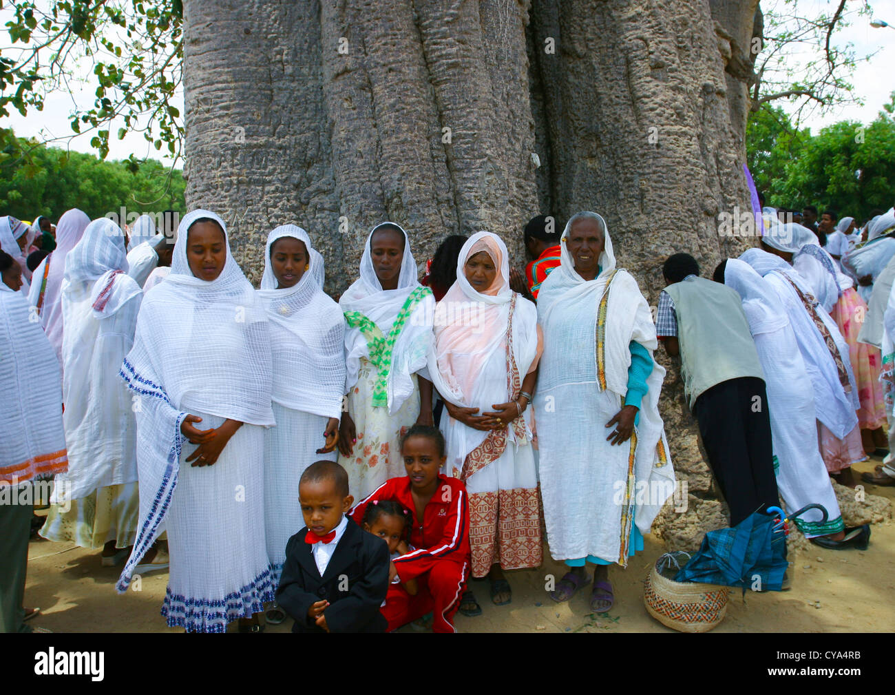 Woman At Festival Of Mariam Dearit In Front Of The Baobab, Keren ...