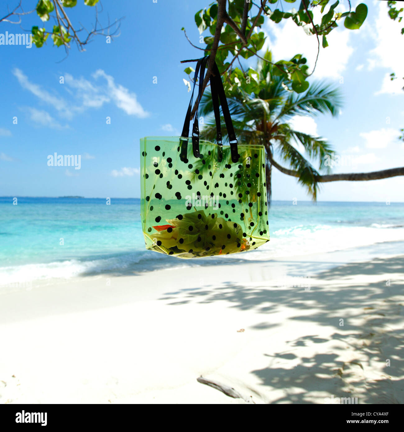 Colorful transparent beach bag on sea beach background Stock Photo - Alamy