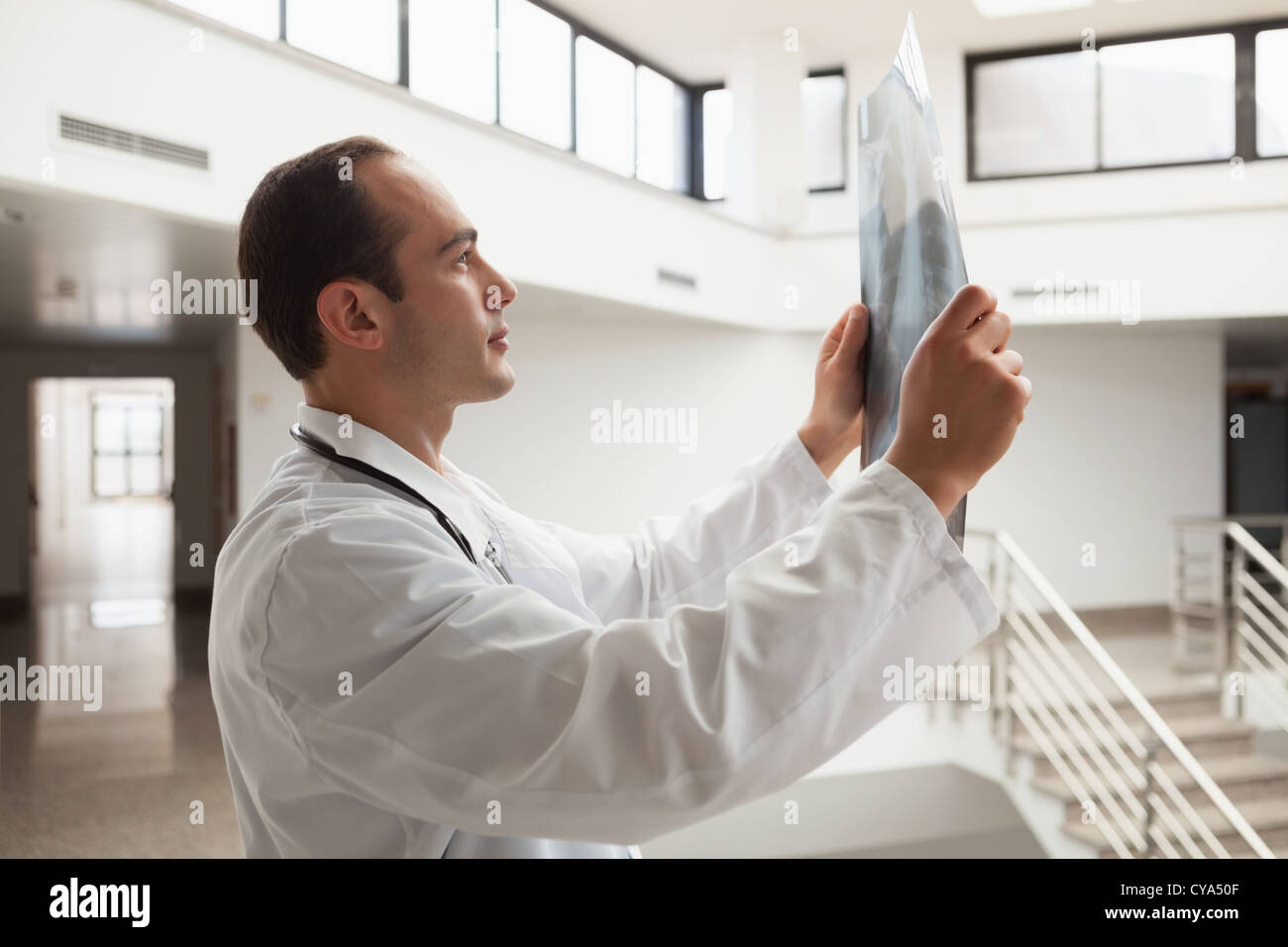 Doctor checking x-ray Stock Photo - Alamy