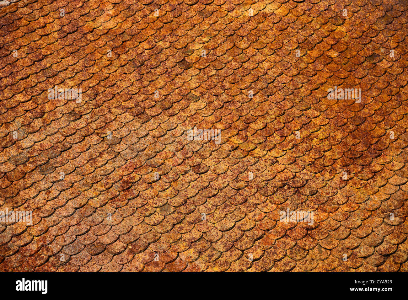 Old rusty tiles roof in spots Stock Photo - Alamy