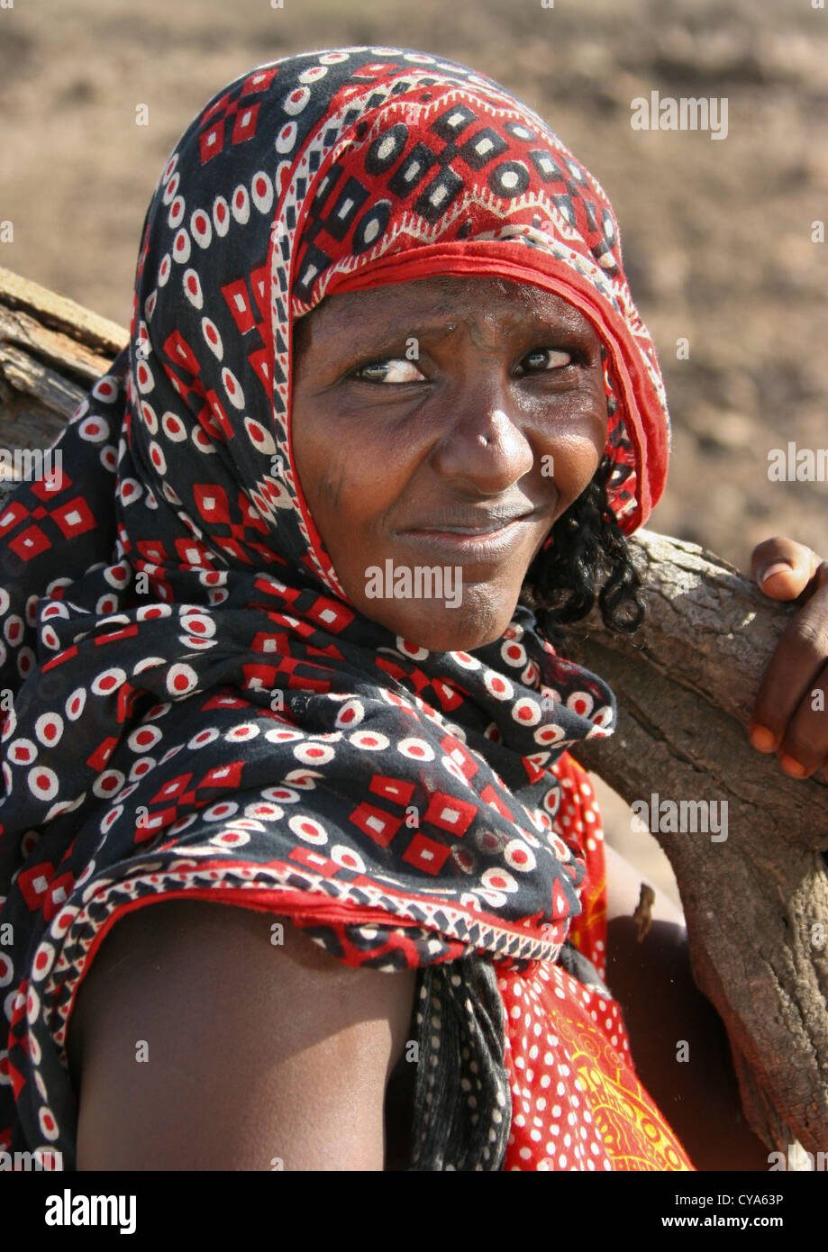 Afar Tribe Woman Carrying Wood In Danakil Desert, Eritrea Stock Photo ...