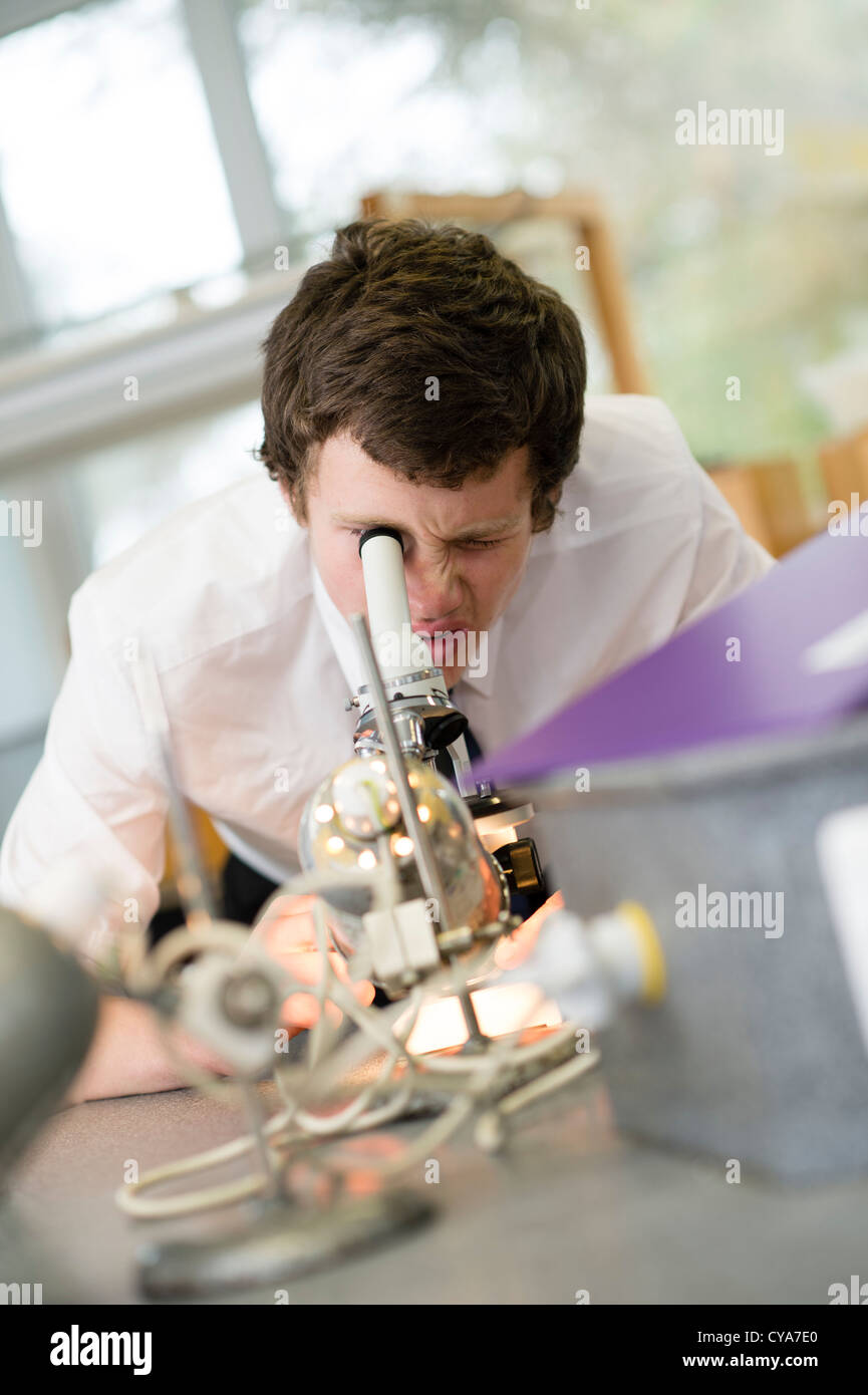 6th Form A Level Pupils in a science class using microscopes secondary ...
