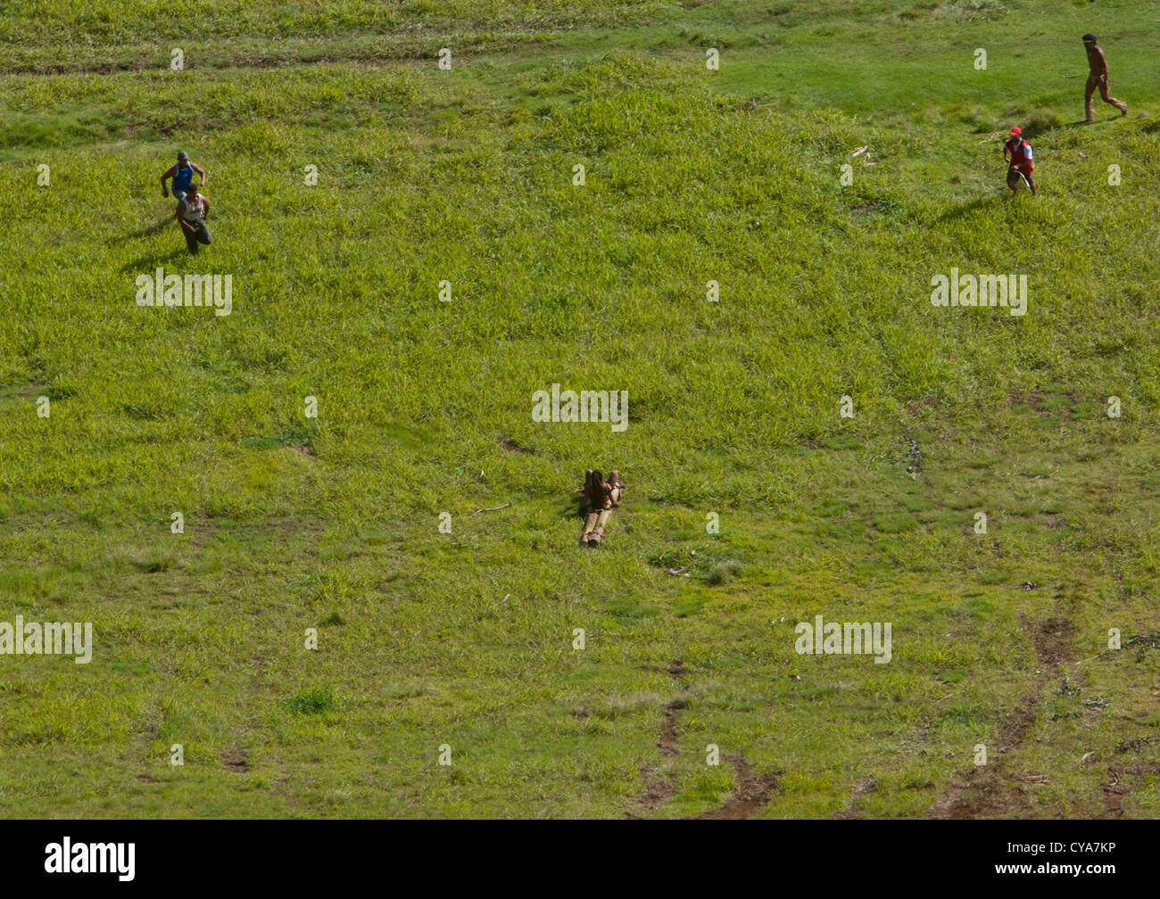 Man On Banana Trunk During Haka Pei Competition During Tapati Festival ...