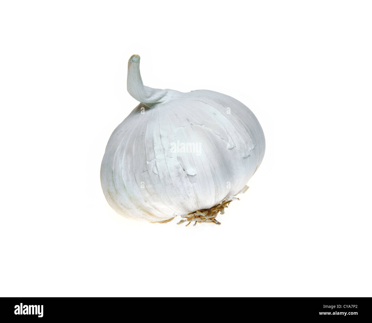 Turkish garlic bulb hi-res stock photography and images - Alamy