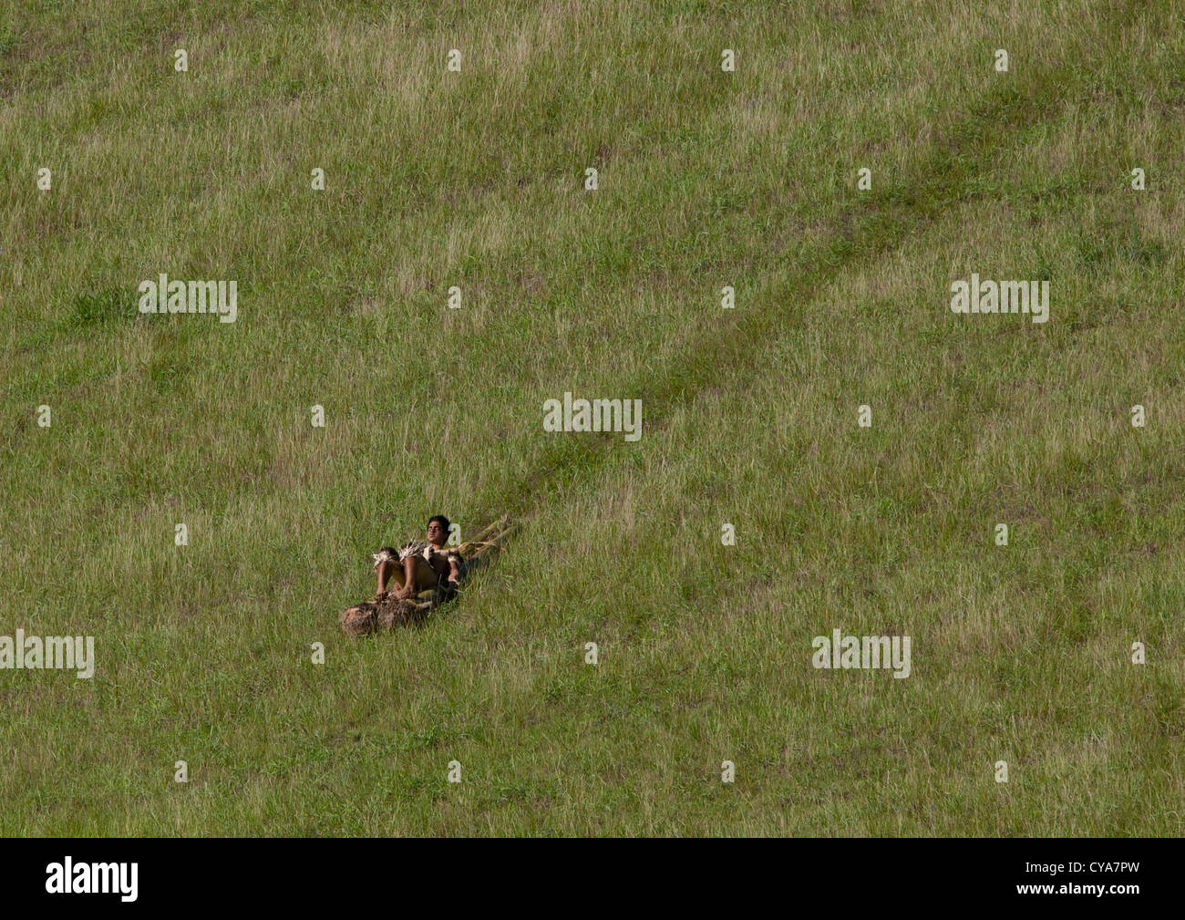 Man On Banana Trunk During Haka Pei Competition During Tapati Festival ...