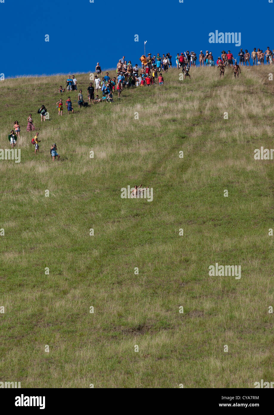 Man On Banana Trunk During Haka Pei Competition During Tapati Festival ...